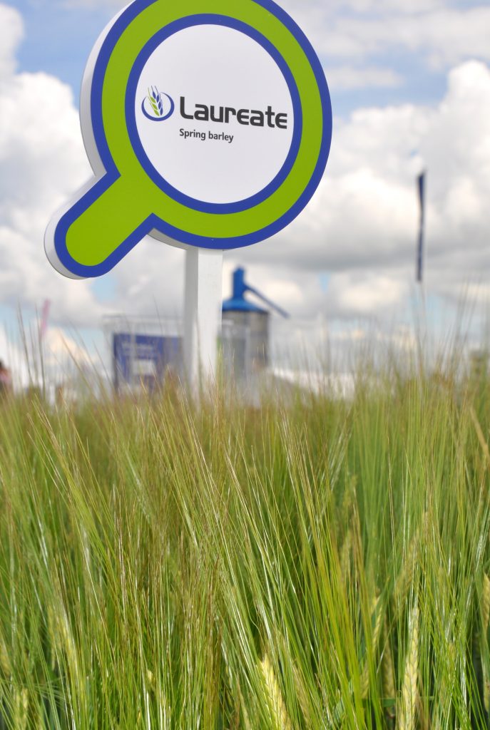 Strong progress for new distilling barley - Farmers Guide