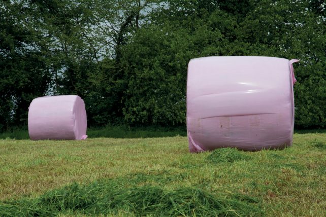 Pink bales in aid of breast cancer charity hailed a huge success ...