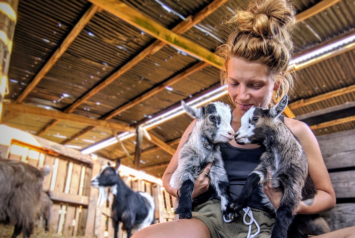 From hairdresser to chief shepherdess - Farmers Guide