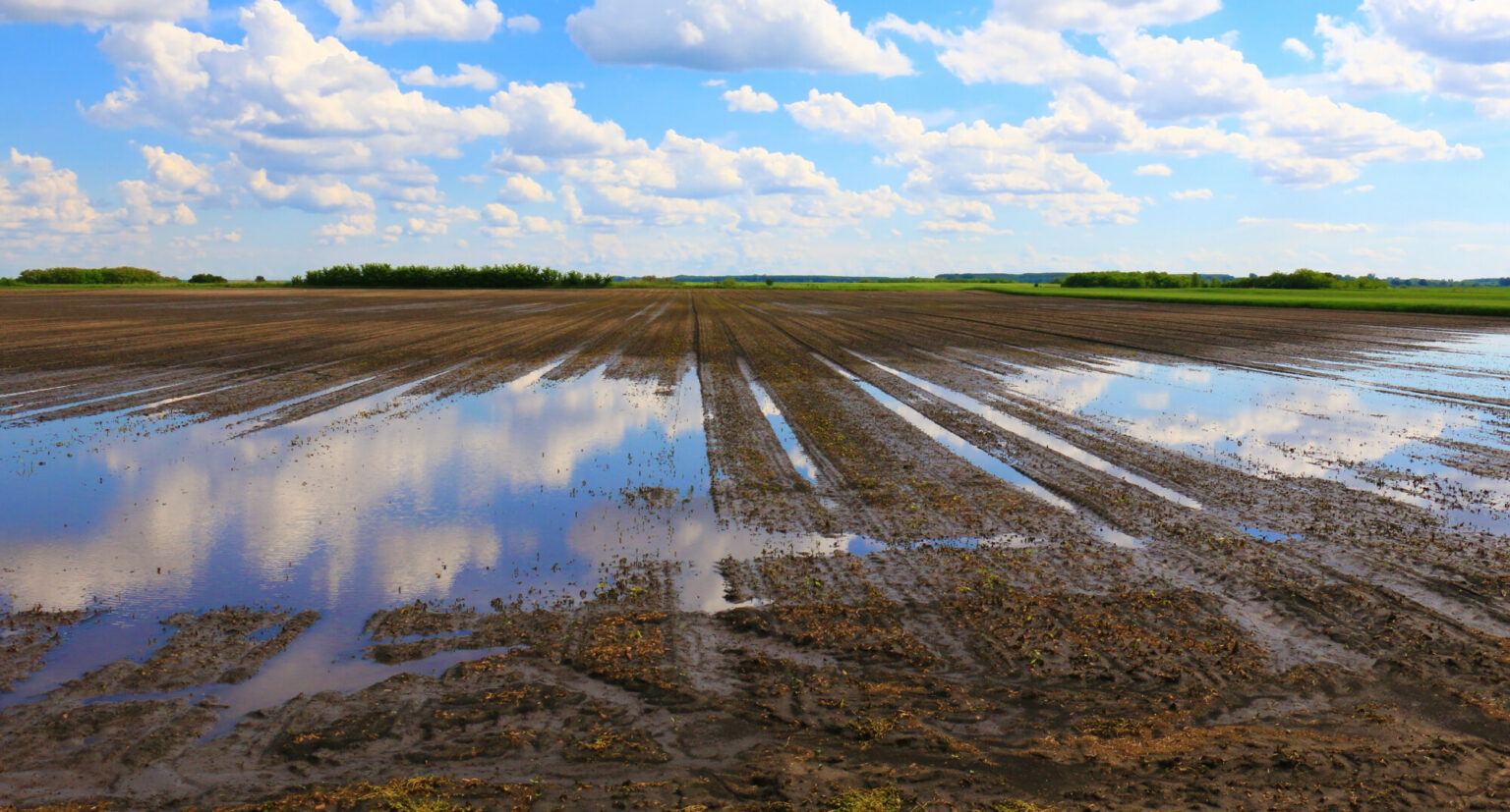 Unprecedented levels of land drainage activity - Farmers Guide