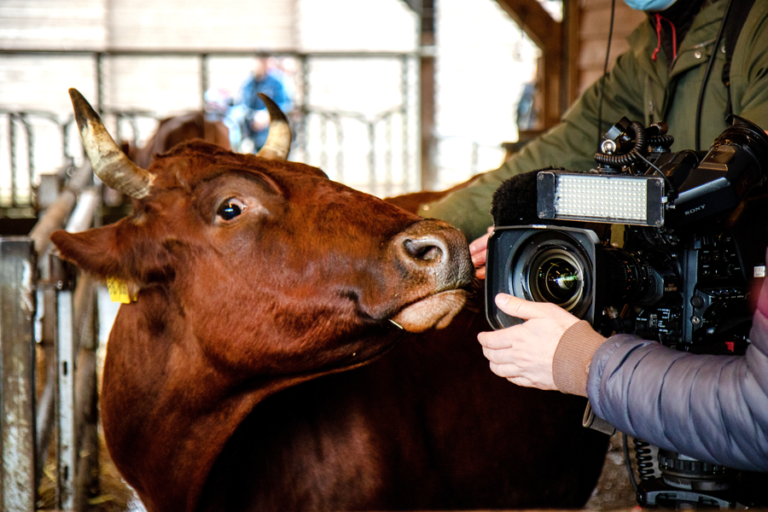 Farming on film: the UK's love of agricultural TV - Farmers Guide