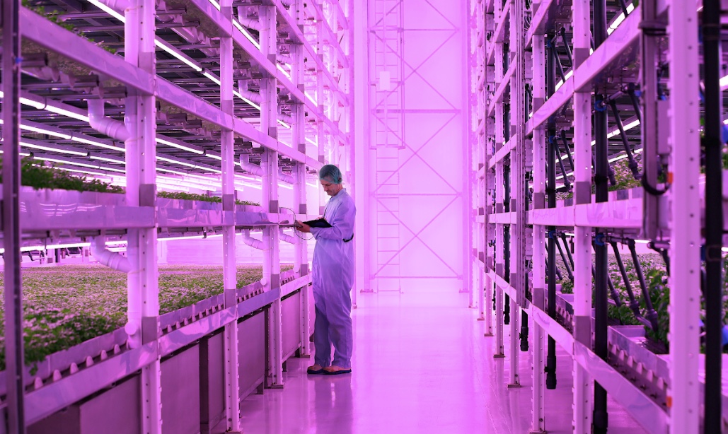 World's largest vertical farm being built in the UK - Farmers Guide