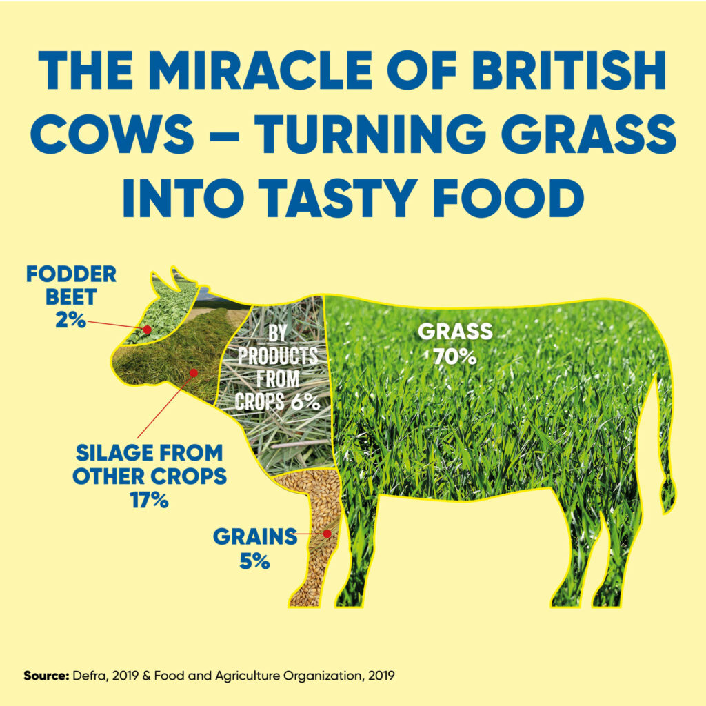 How to support: #BackBritishFarmingDay - Farmers Guide