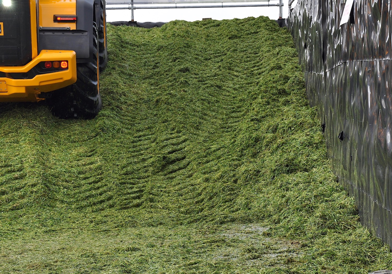 Minimising silage losses makes increasing sense - Farmers Guide