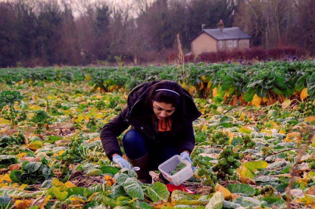 Agri-tech projects aim to support farmers - Farmers Guide