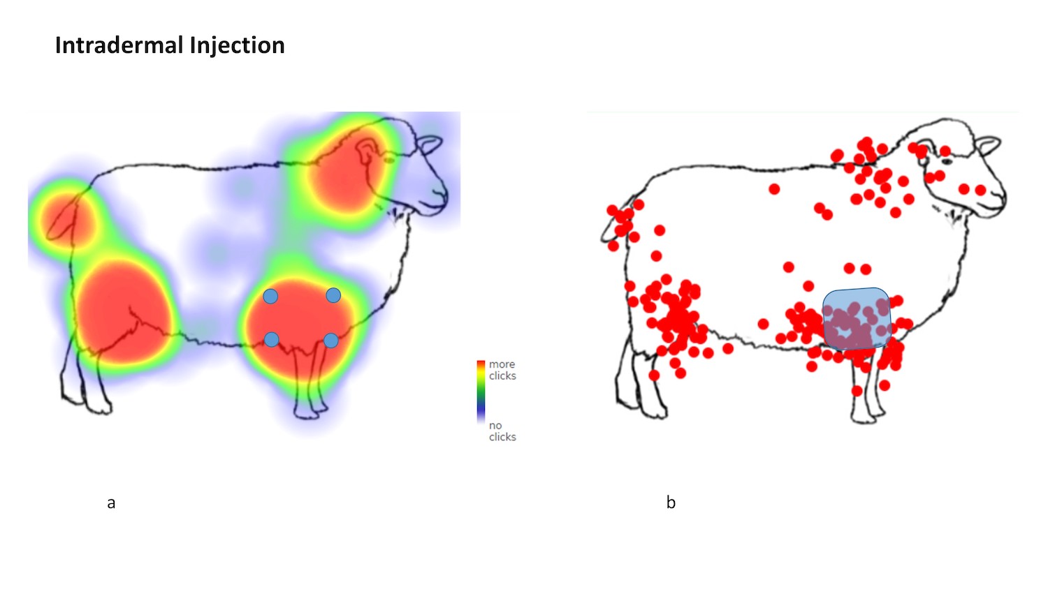 Better training needed to tackle sub-optimal sheep vaccination, survey ...