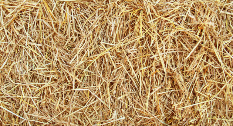 Straw – to sell or incorporate? That is the question - Farmers Guide