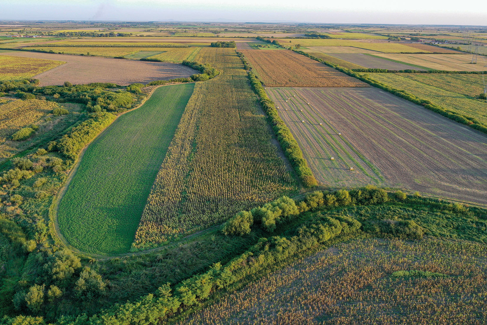 Battling the effects of war, drought and extreme weather events: A ...