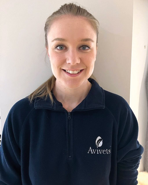 Q&A: Poultry health at housing - Farmers Guide