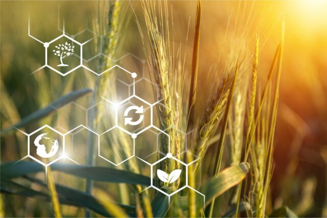 Report predicts growth in tech such as 'smart crops' by 2030 - Farmers ...