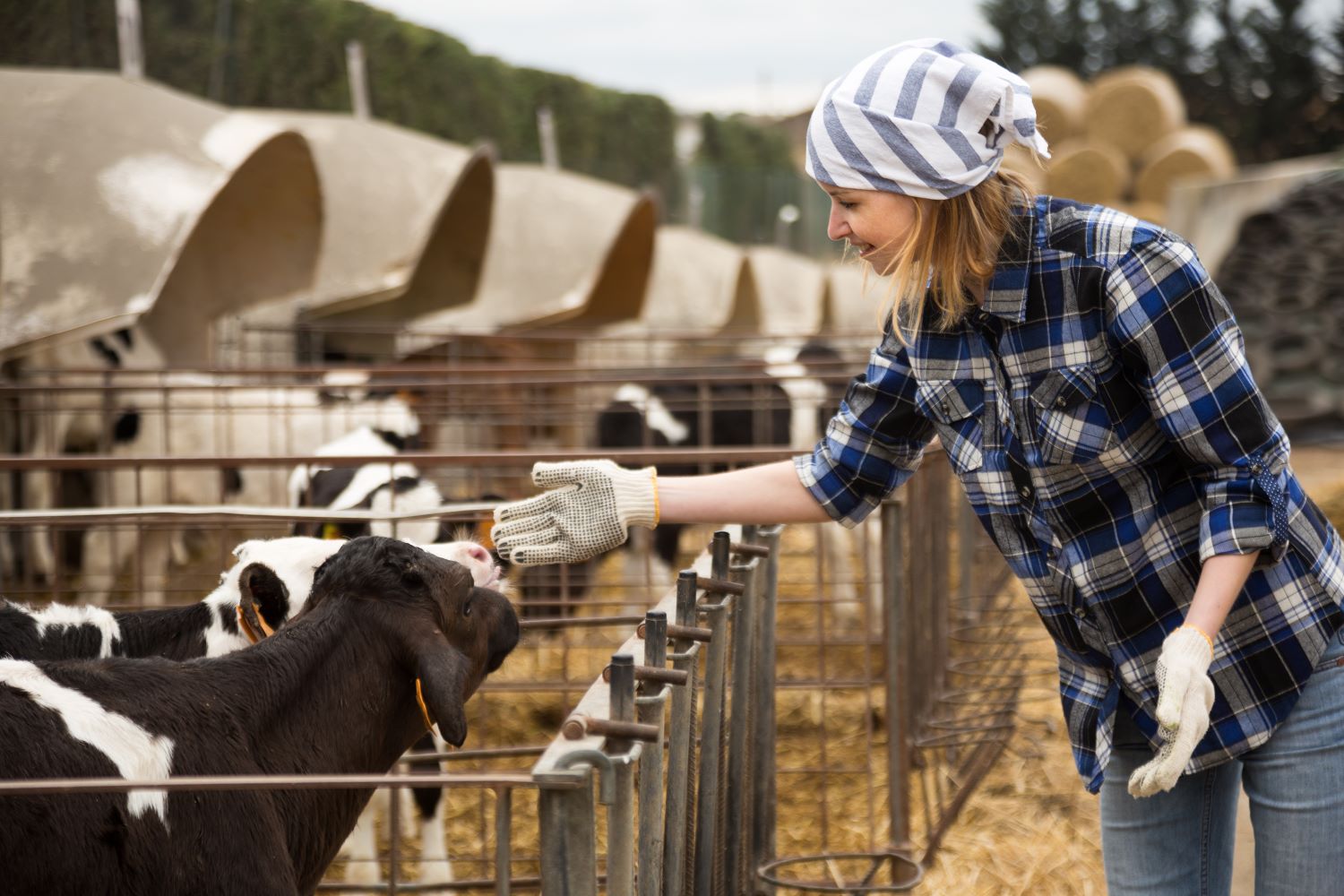 Psychologist shares communication tools to retain and motivate farm ...