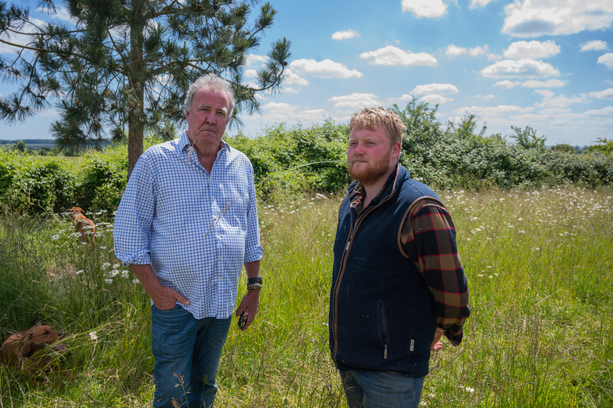 Prime Video Confirms Clarkson’s Farm Series 2 Launch Date - Farmers Guide
