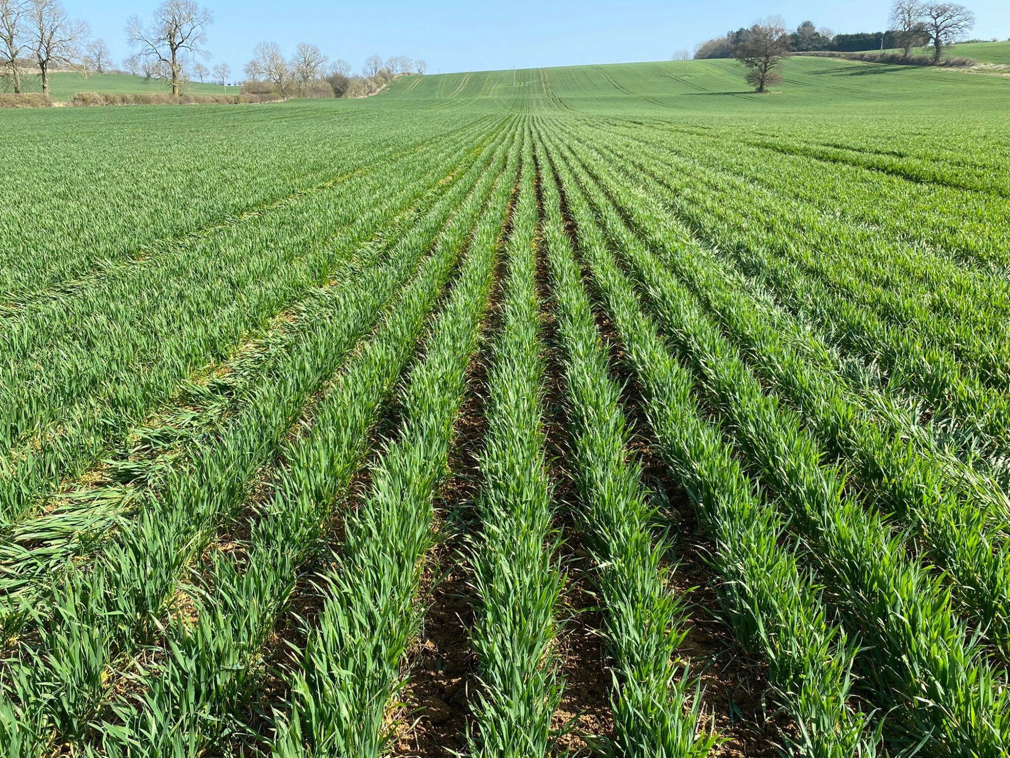 Top tips for top crops in the coming months - Farmers Guide