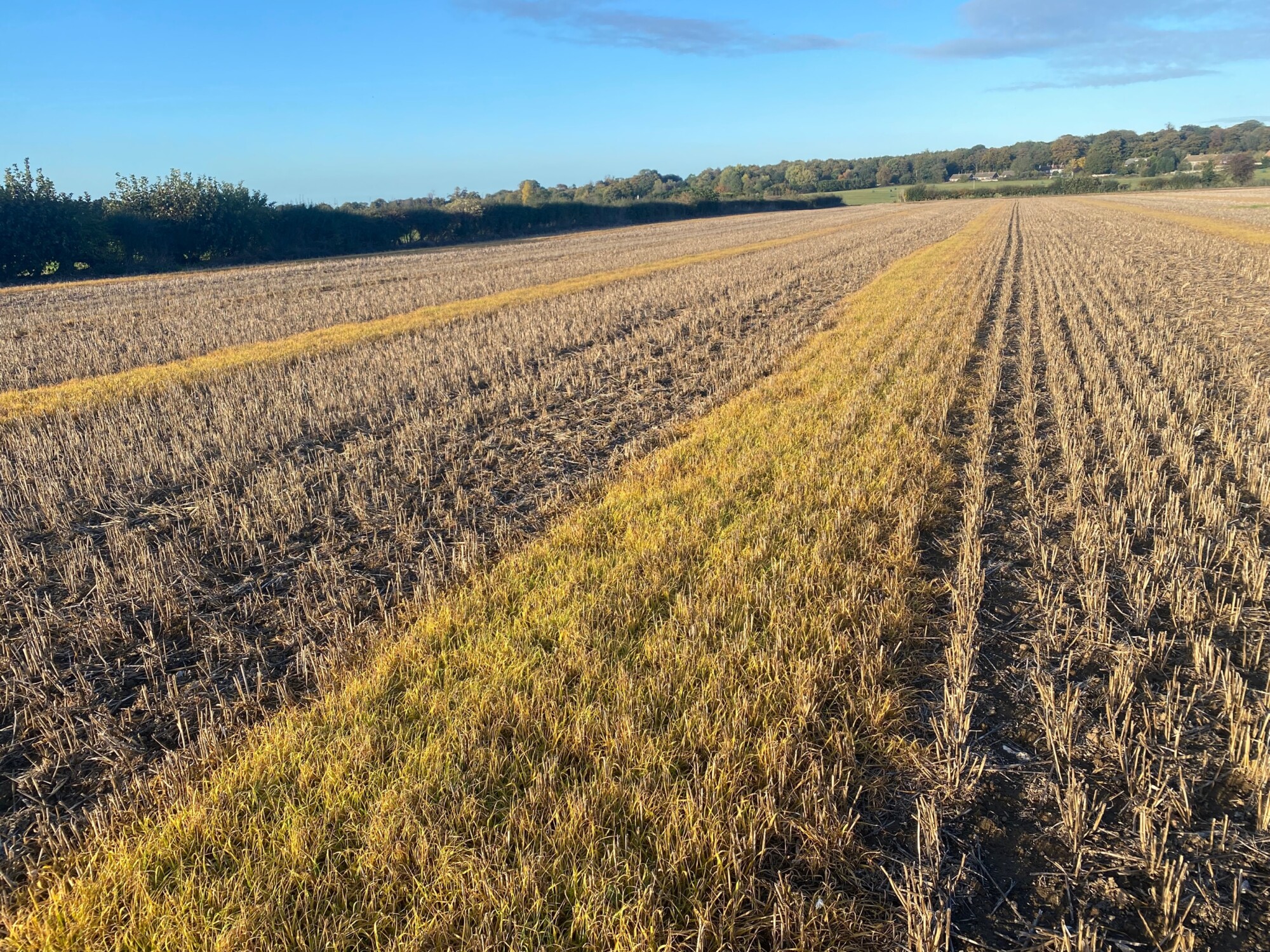 Top tips for top crops in the coming months - Farmers Guide