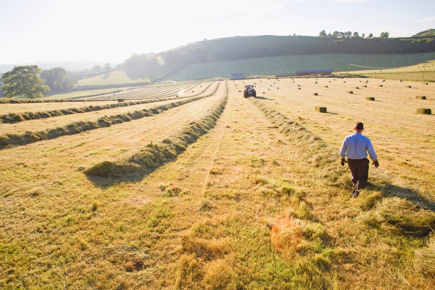 'You can’t farm green if your finances are in the red,’ farmers are ...
