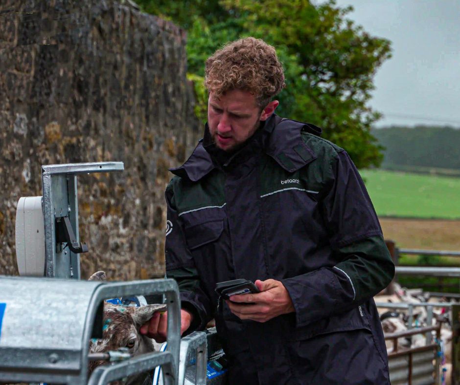 An app that saves time while increasing your farm profitability ...