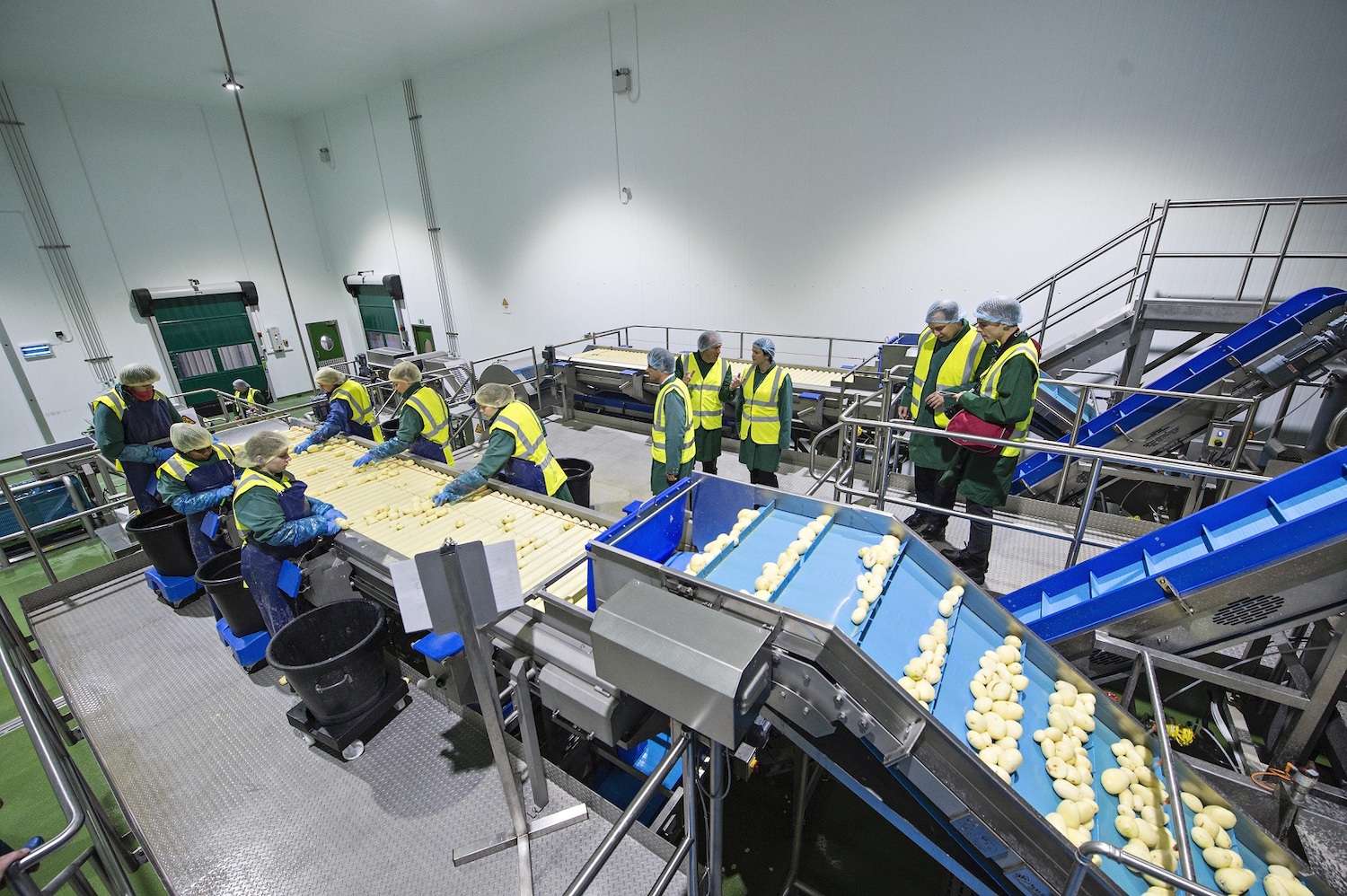 From potato packing to R&D innovation: A career journey - Farmers Guide