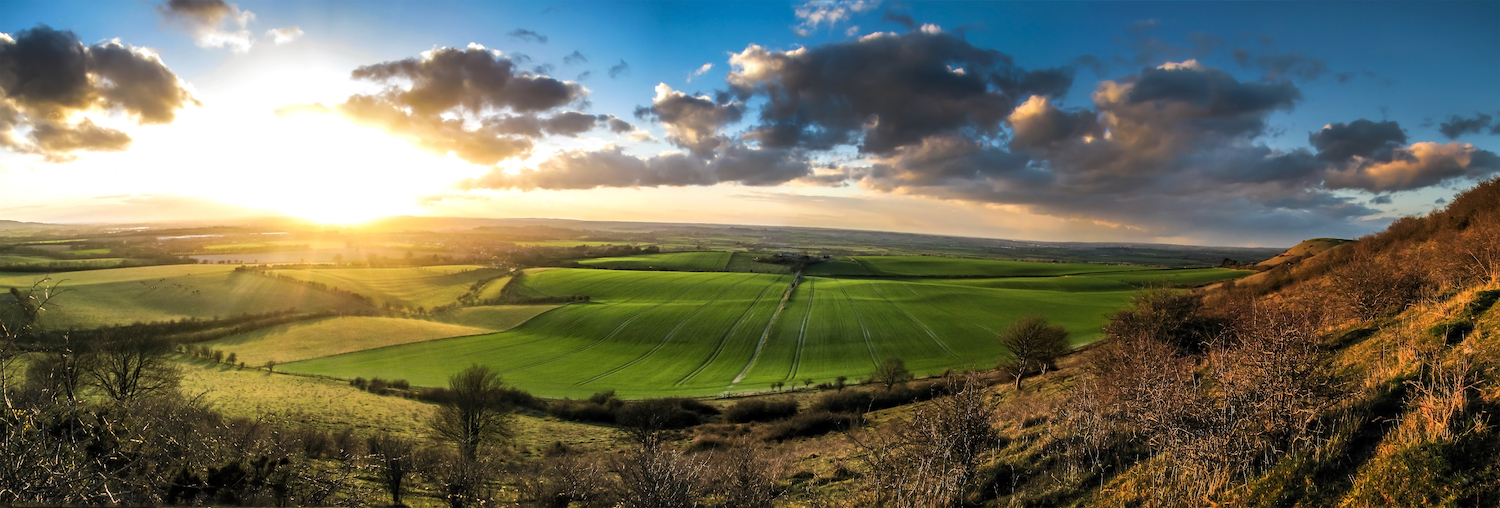 ELMS update at Oxford Farming Conference - Farmers Guide