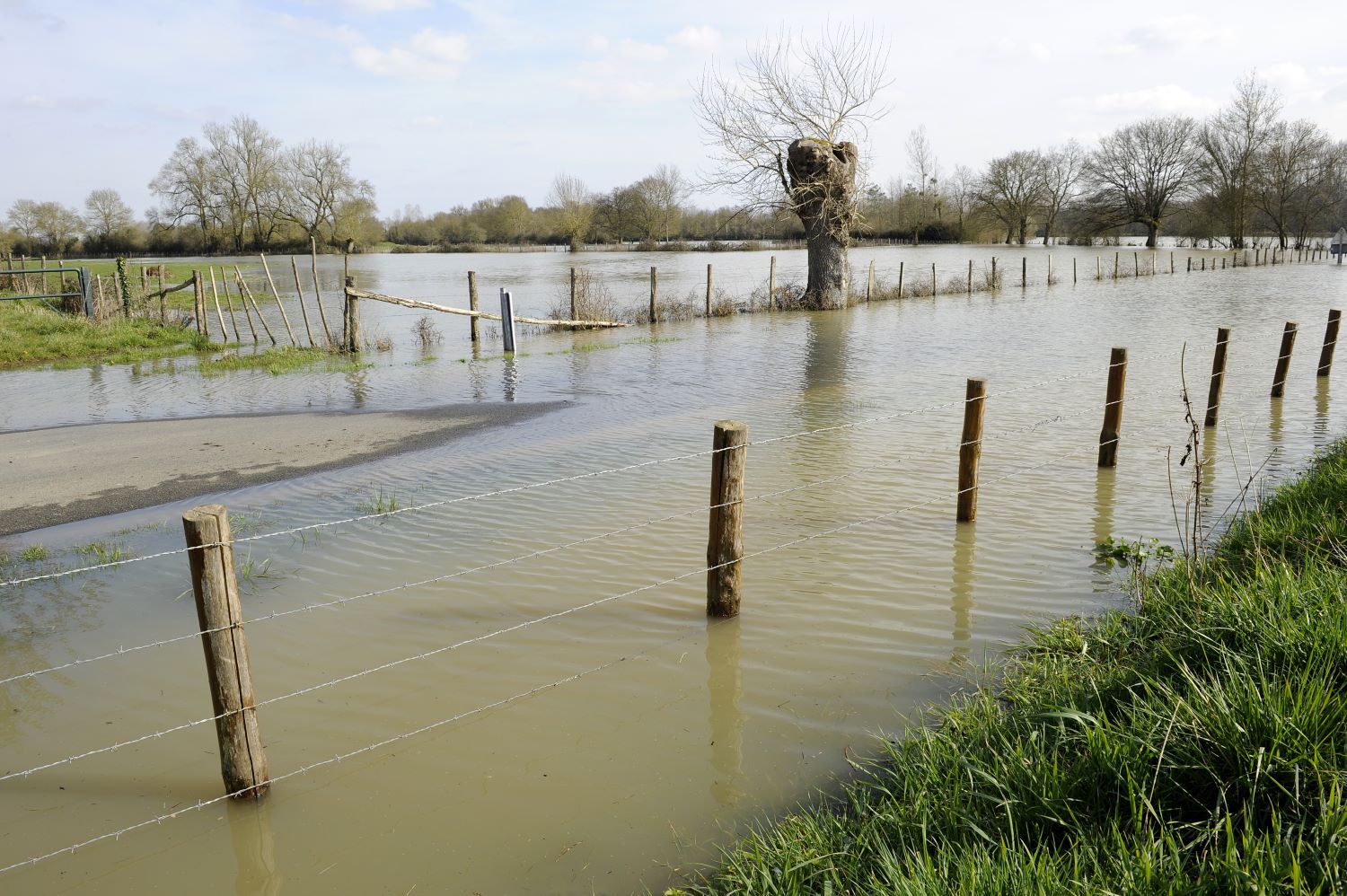 Farm flooding advice issued for Wales, Midlands and South West ...
