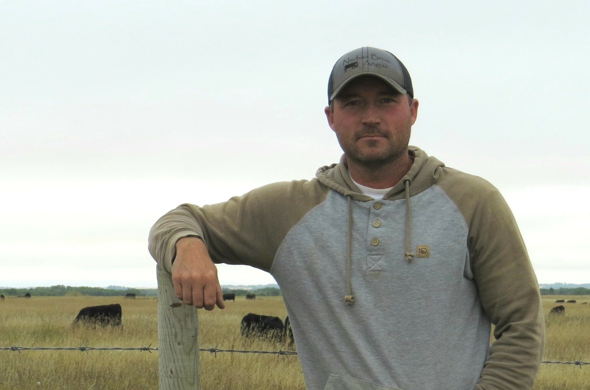 ‘Challenge tradition’ urges Canadian Aberdeen-Angus breeder - Farmers Guide