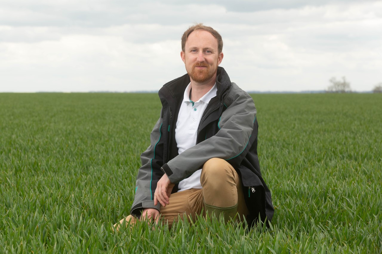 Lincolnshire farmer sets new world record for wheat yield with 17.96t ...