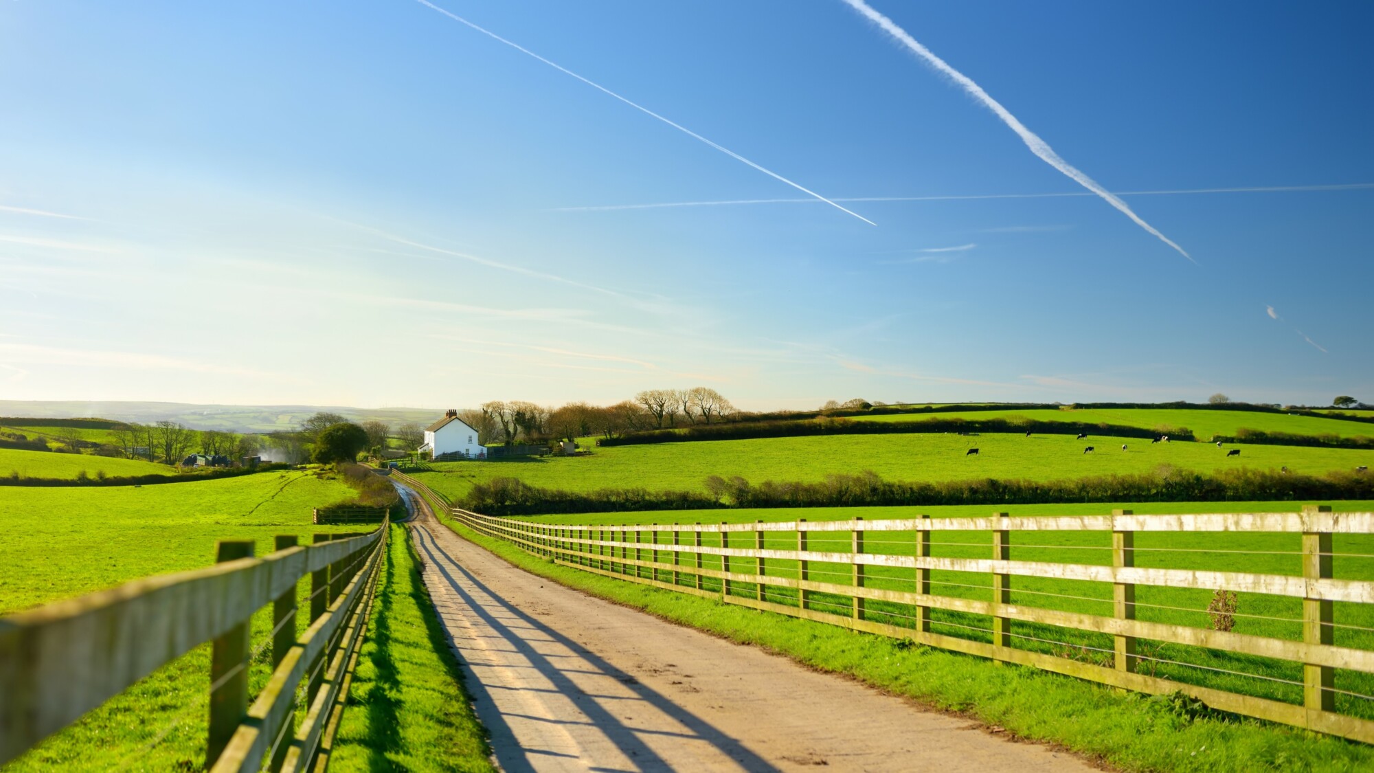 Reversing the trend of excluding small farms from subsidy: An update ...