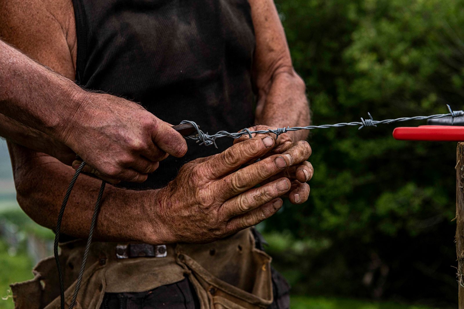 Photographer captures the essence of Welsh hill farming - Farmers Guide