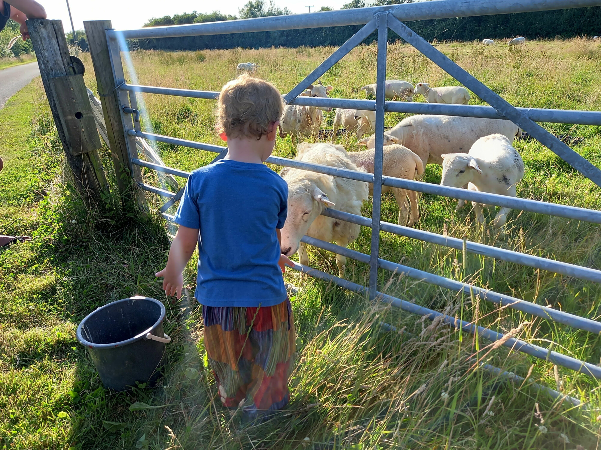 Agritourism plays ‘vital role’ in educating the public, farmers say ...