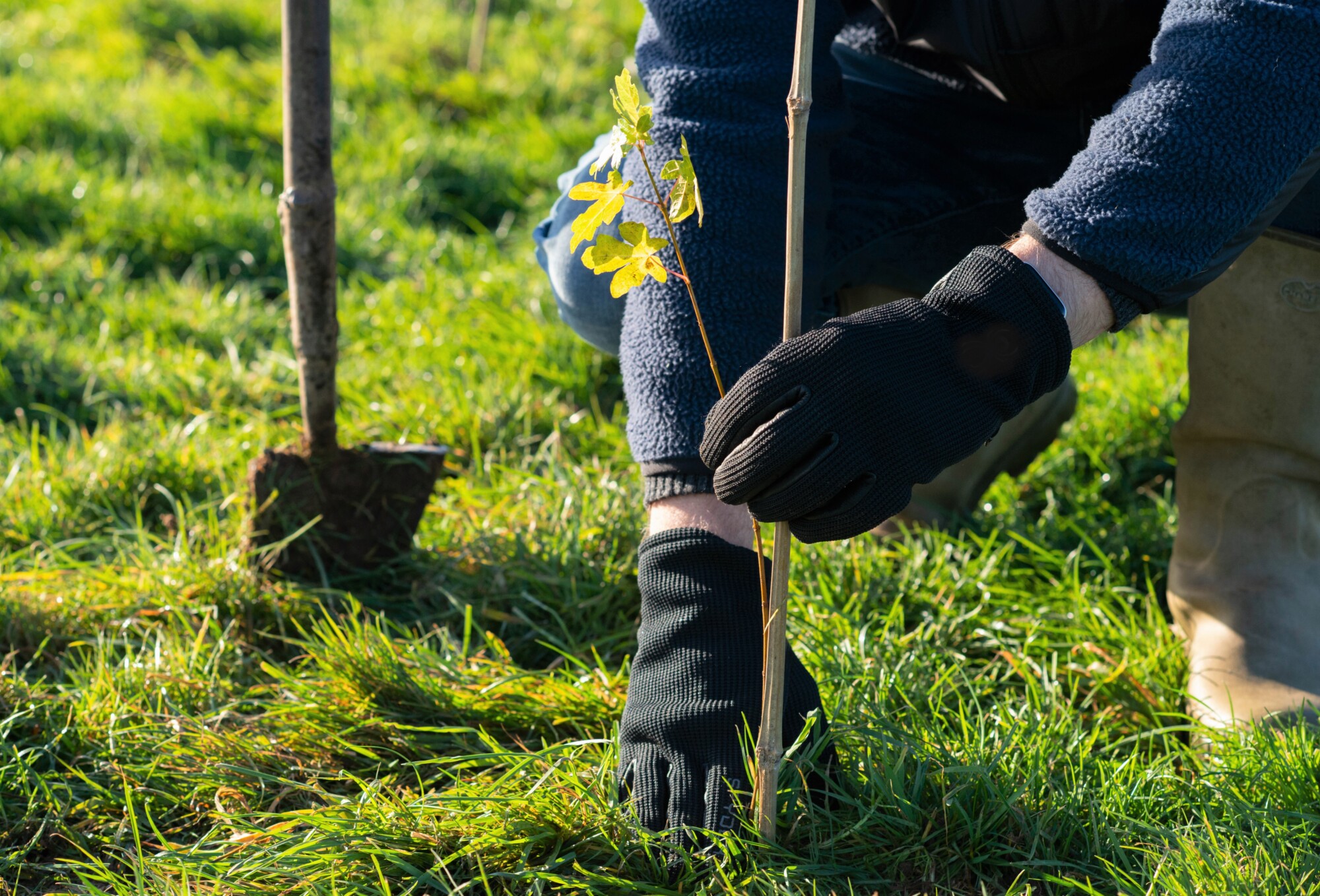 Chris’ story: A wildlife corridor to support farm biodiversity ...