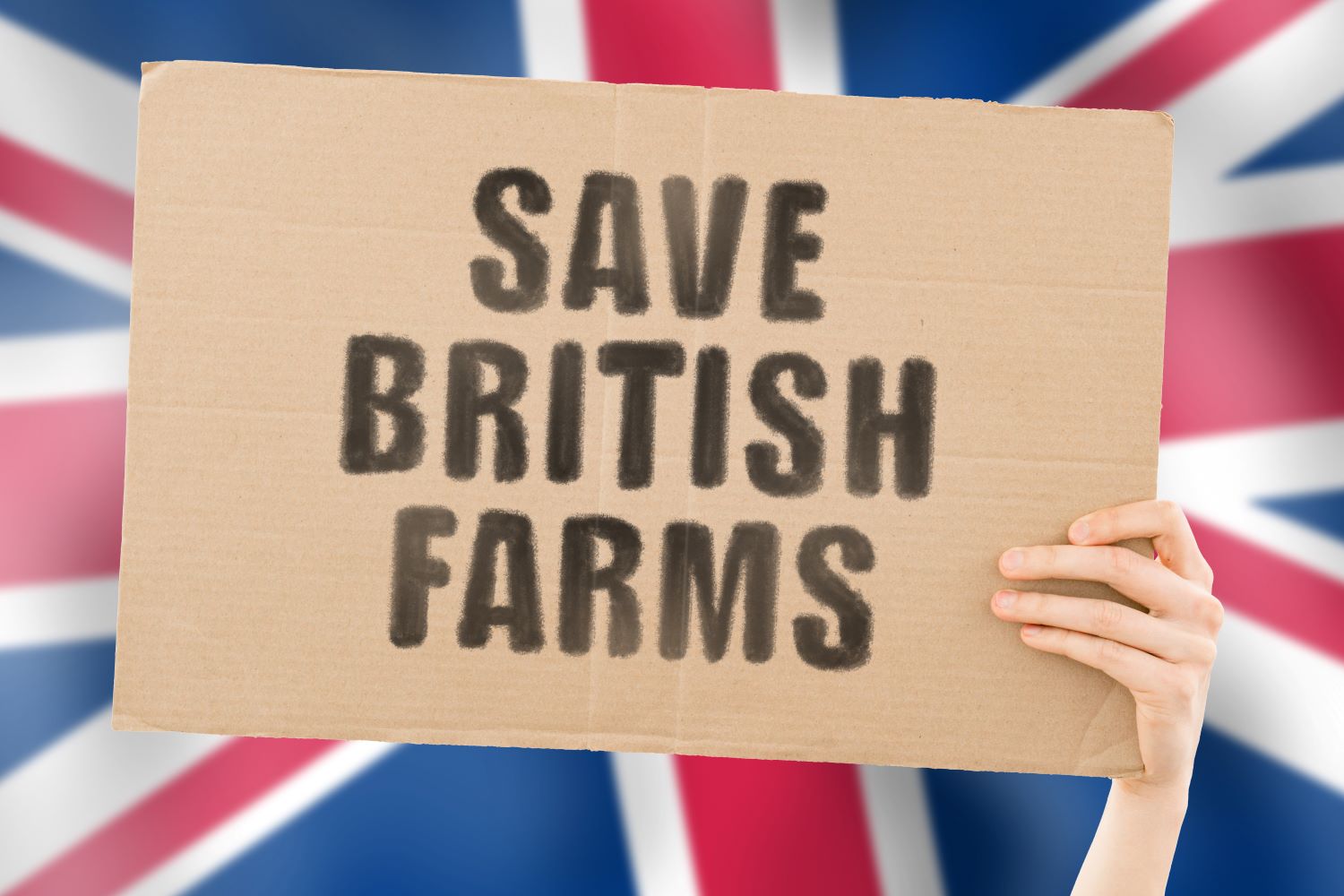 Spring budget 2023: Policy reforms needed to back British farming ...