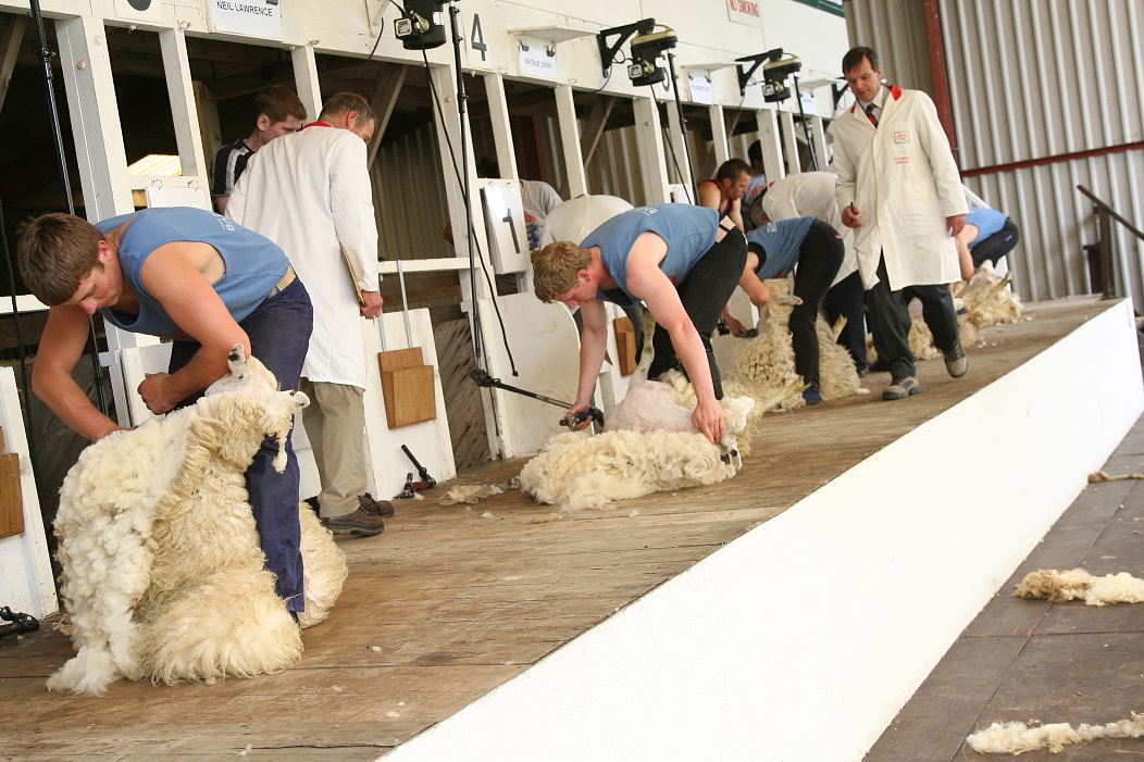 Britain’s shearing talent to shine at The Royal Bath & West Show ...
