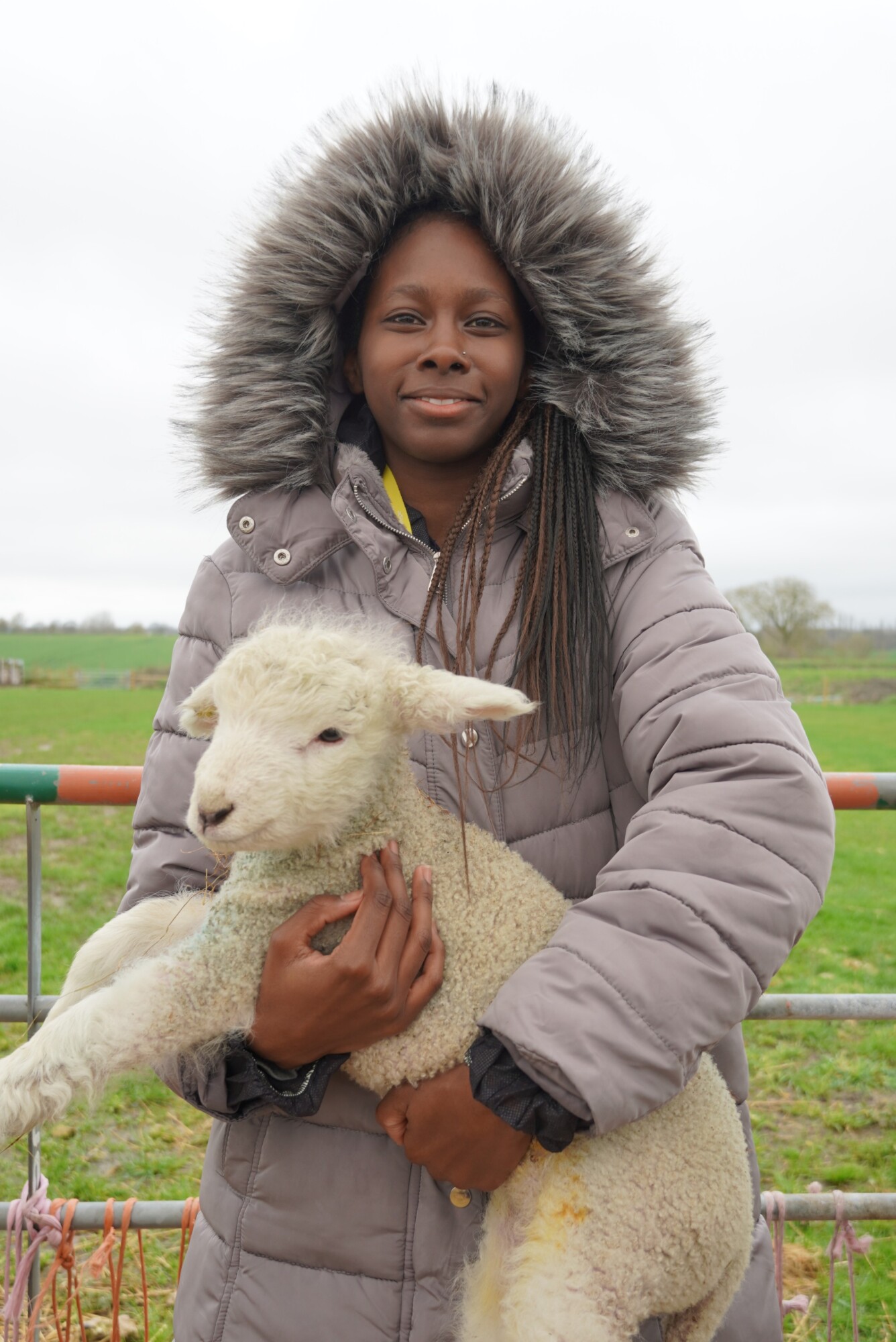Young people visit Essex for a taste of farm life - Farmers Guide