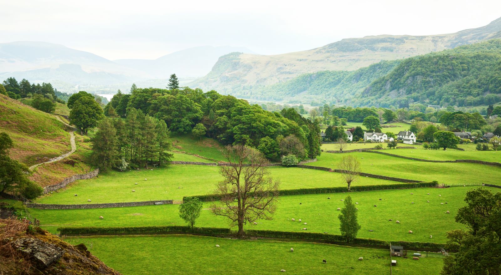 £110 million funding announced to level up rural areas in England ...