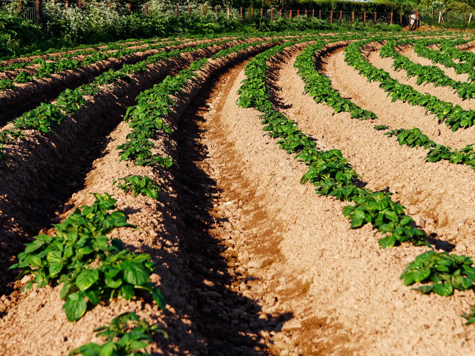 New incentives launched to alleviate barriers to sustainable farming ...