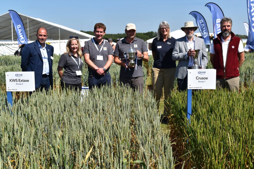 Winter wheat from KWS and Limagrain win prestigious awards at Cereals ...