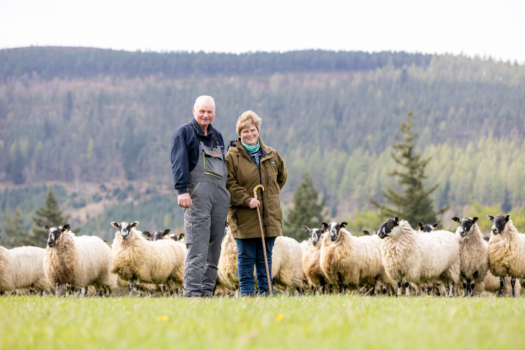Sheep farmers invited to discover new ideas at comprehensive technical ...