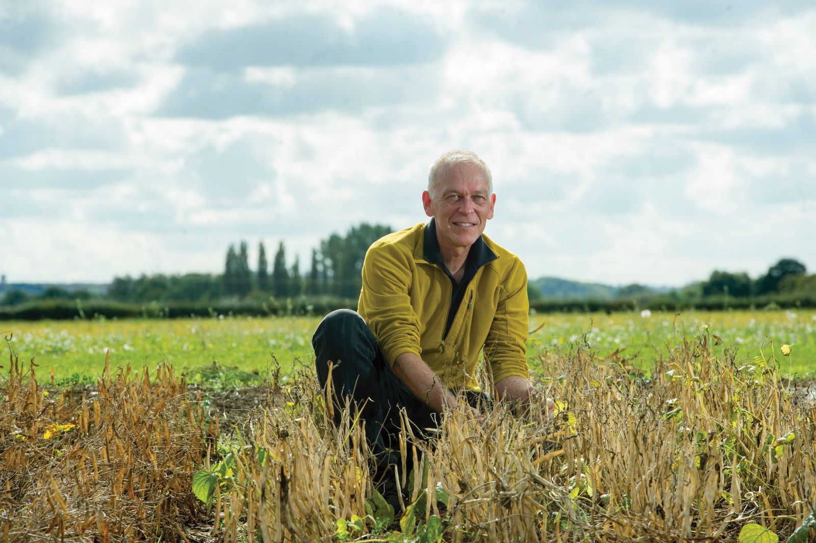 Baked beans could become a crop of choice for British growers - Farmers ...