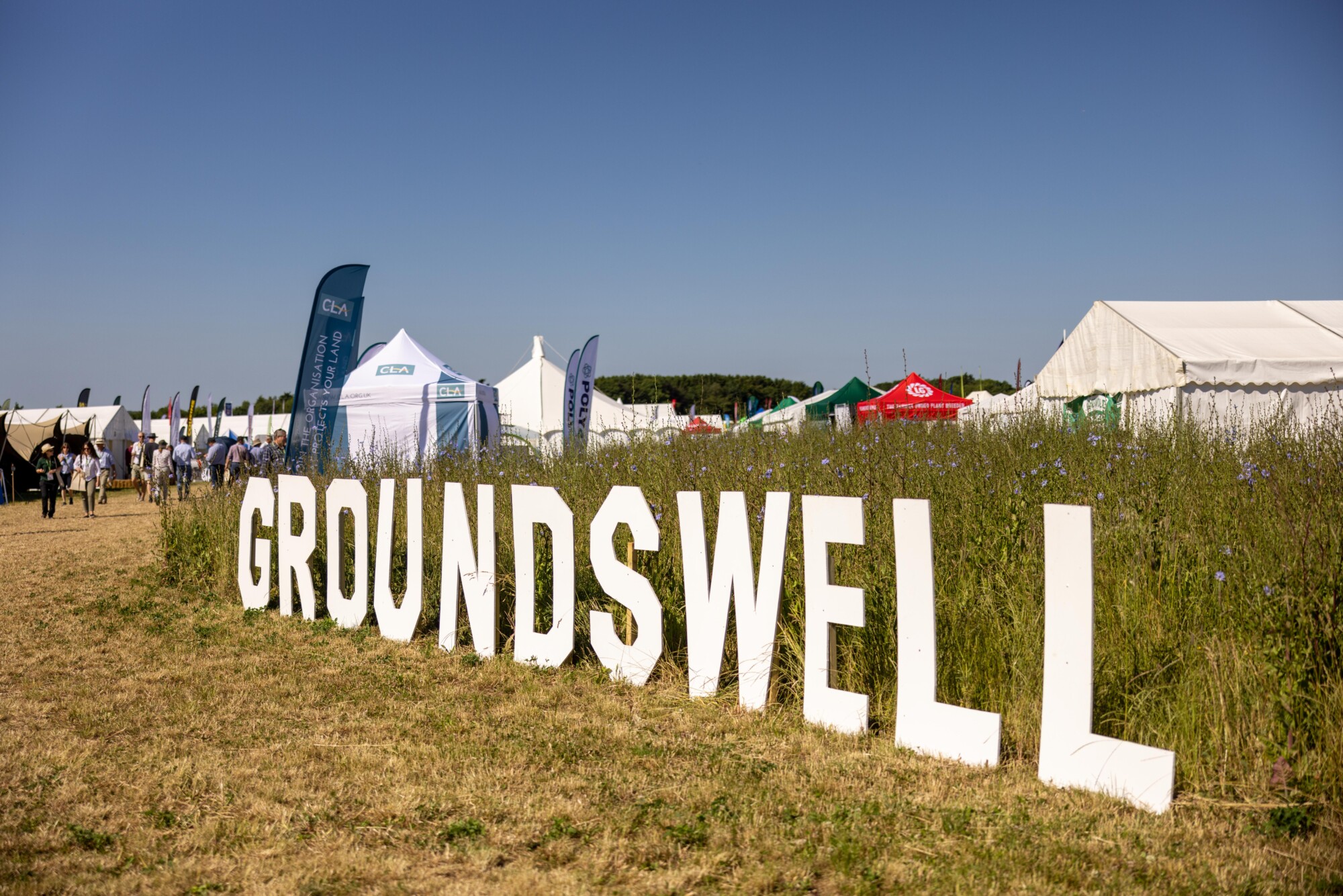Groundswell announces regenerative agriculture-focused programme ...