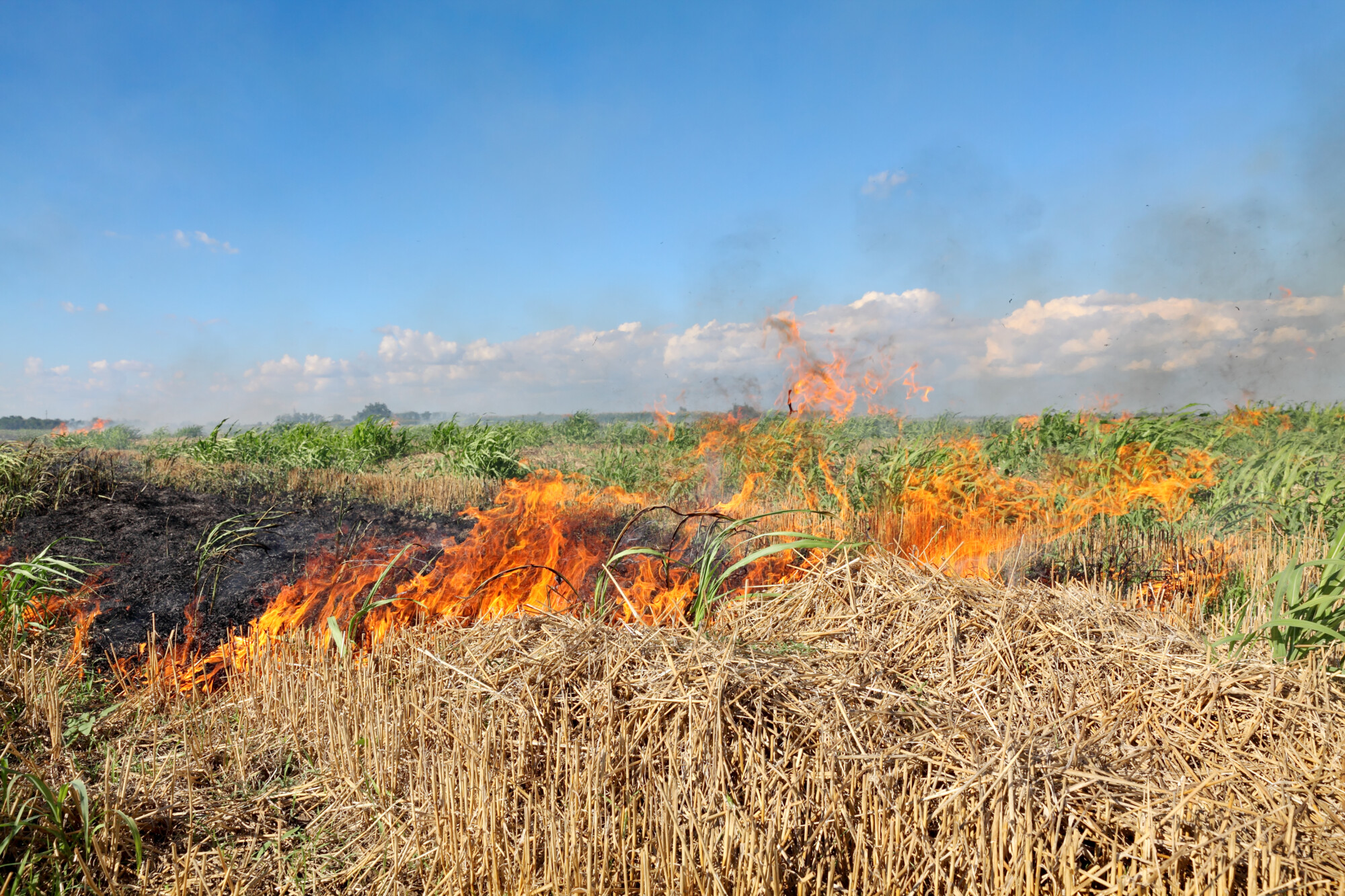 New initiative launches plan to fight farm fires this harvest - Farmers ...