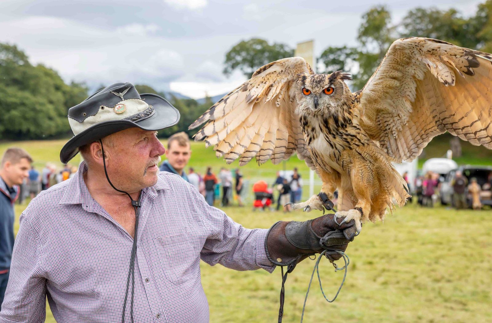 North Wales countryside show set to inject £12m into the local economy ...