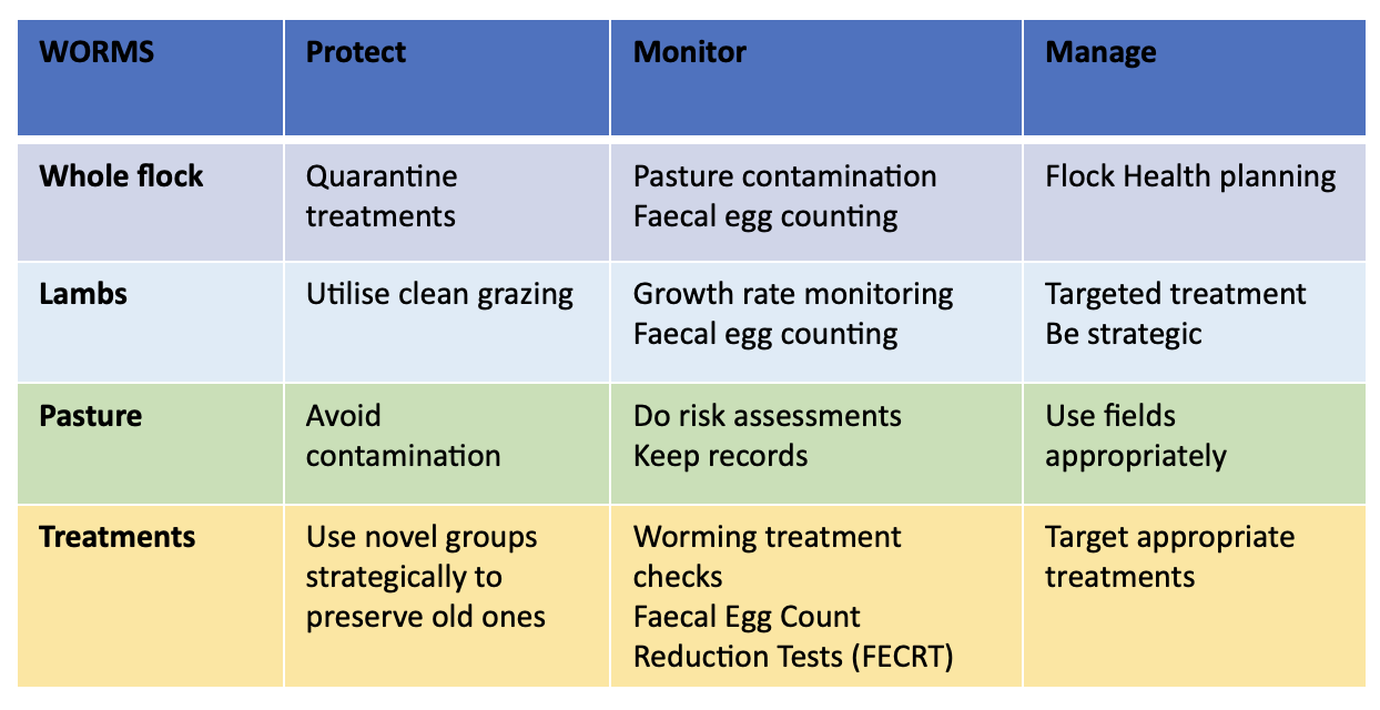 How to use funding to implement a strategic worm control plan for sheep ...