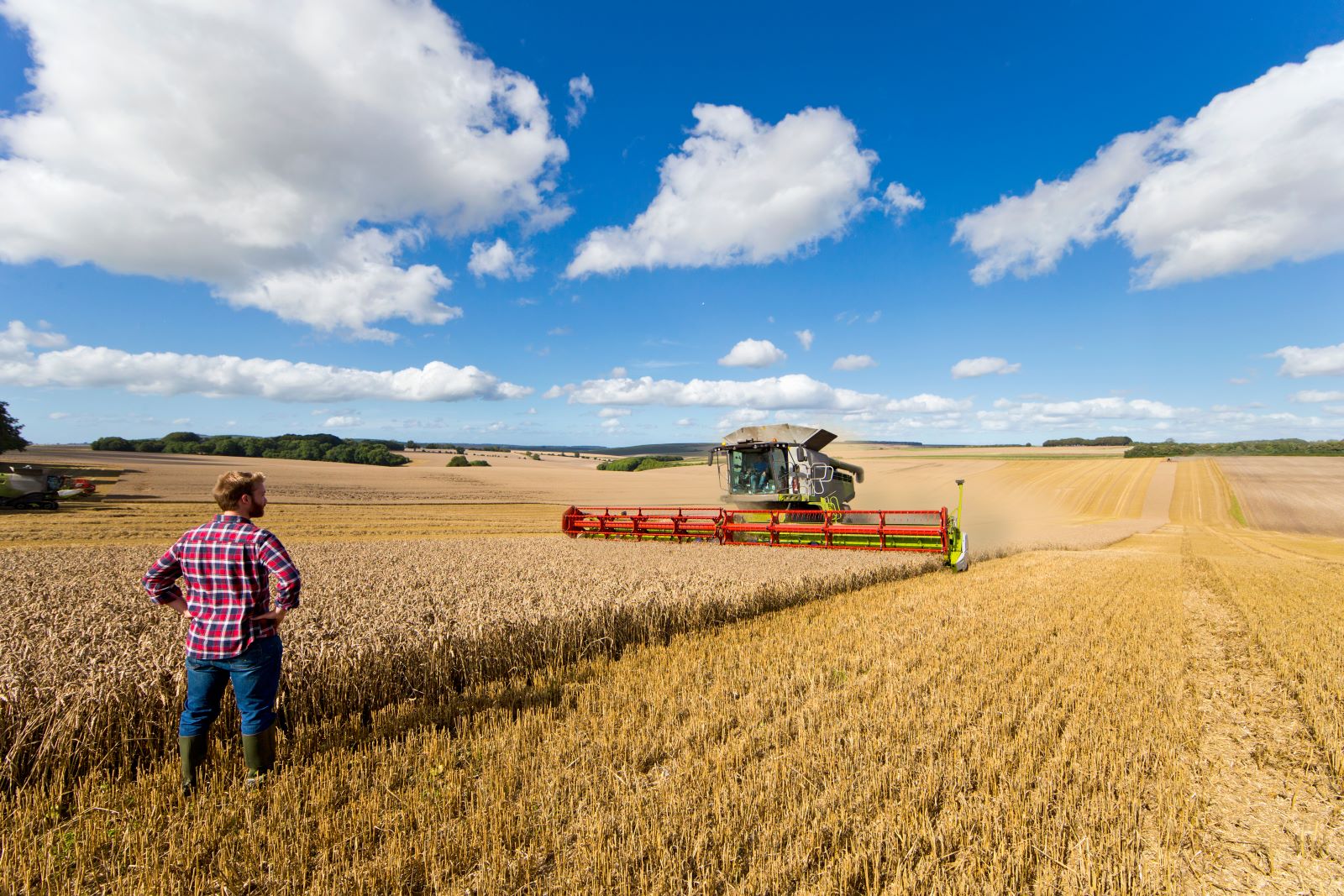 NFU: “I have never known such volatility in the food system” - Farmers ...