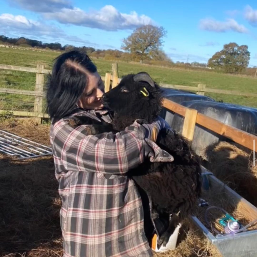 Farming stories: Starting out as first-generation farmers - Farmers Guide