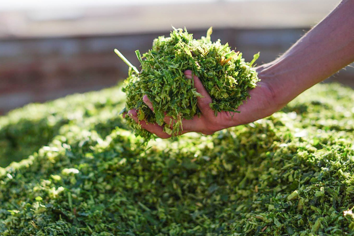 Make the most of feed inputs with regular forage analysis - Farmers Guide