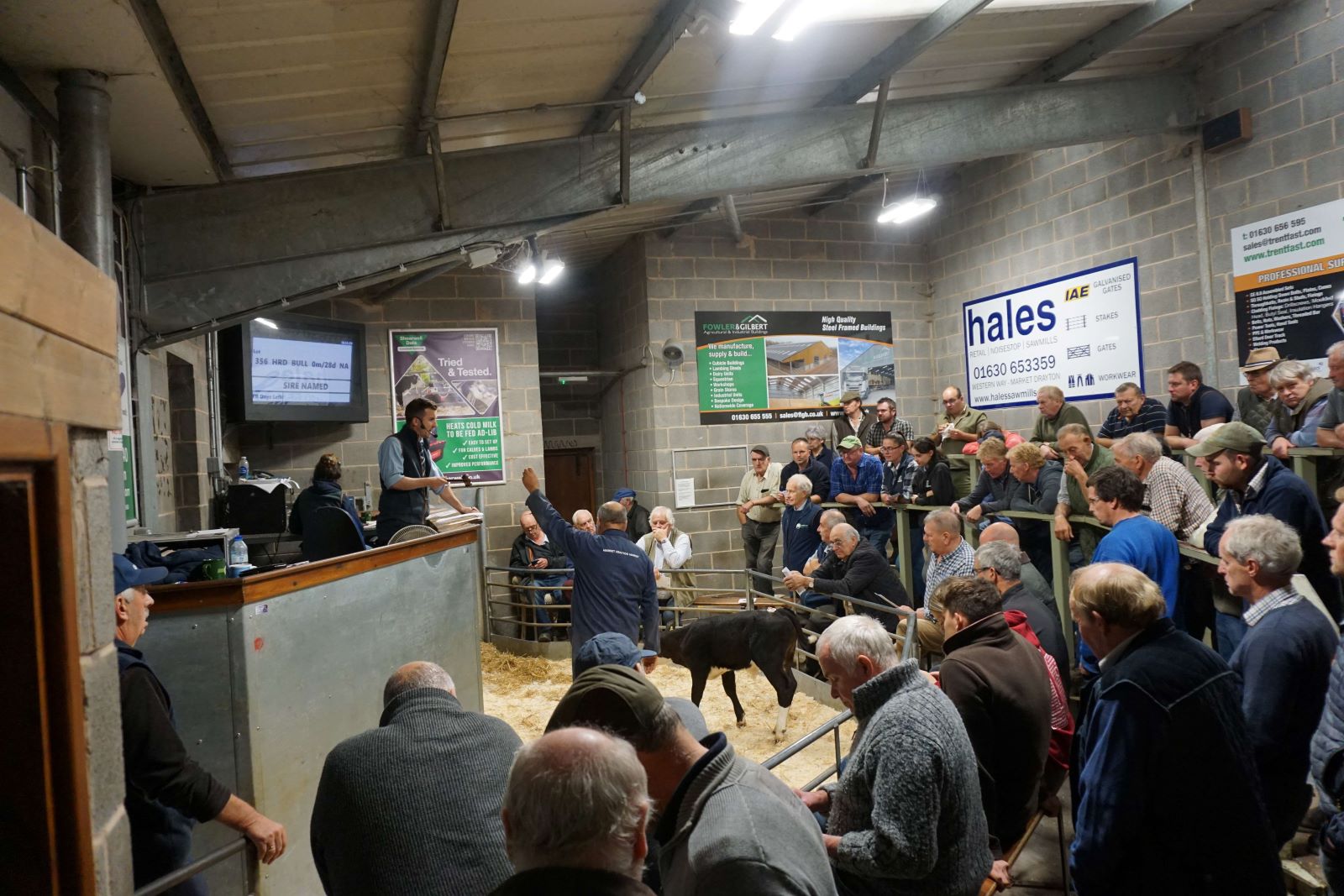 Thriving orange markets provide a valuable lifeline to dairy farmers ...