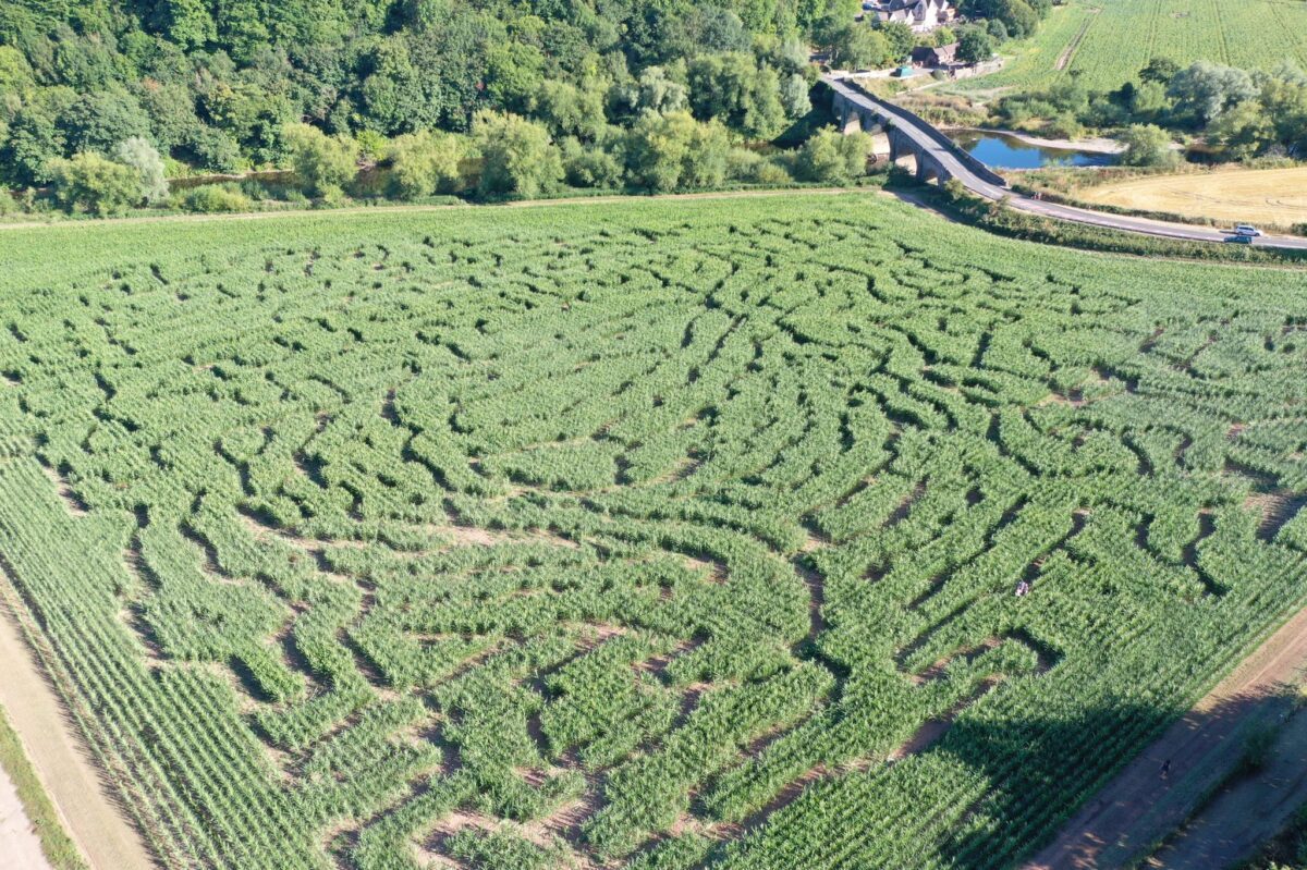 Farm creates Maize Maze with mapping and precision farming software ...