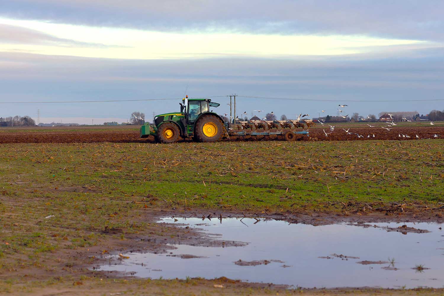 Expert shares advice on how to reduce soil compaction after wet winter ...