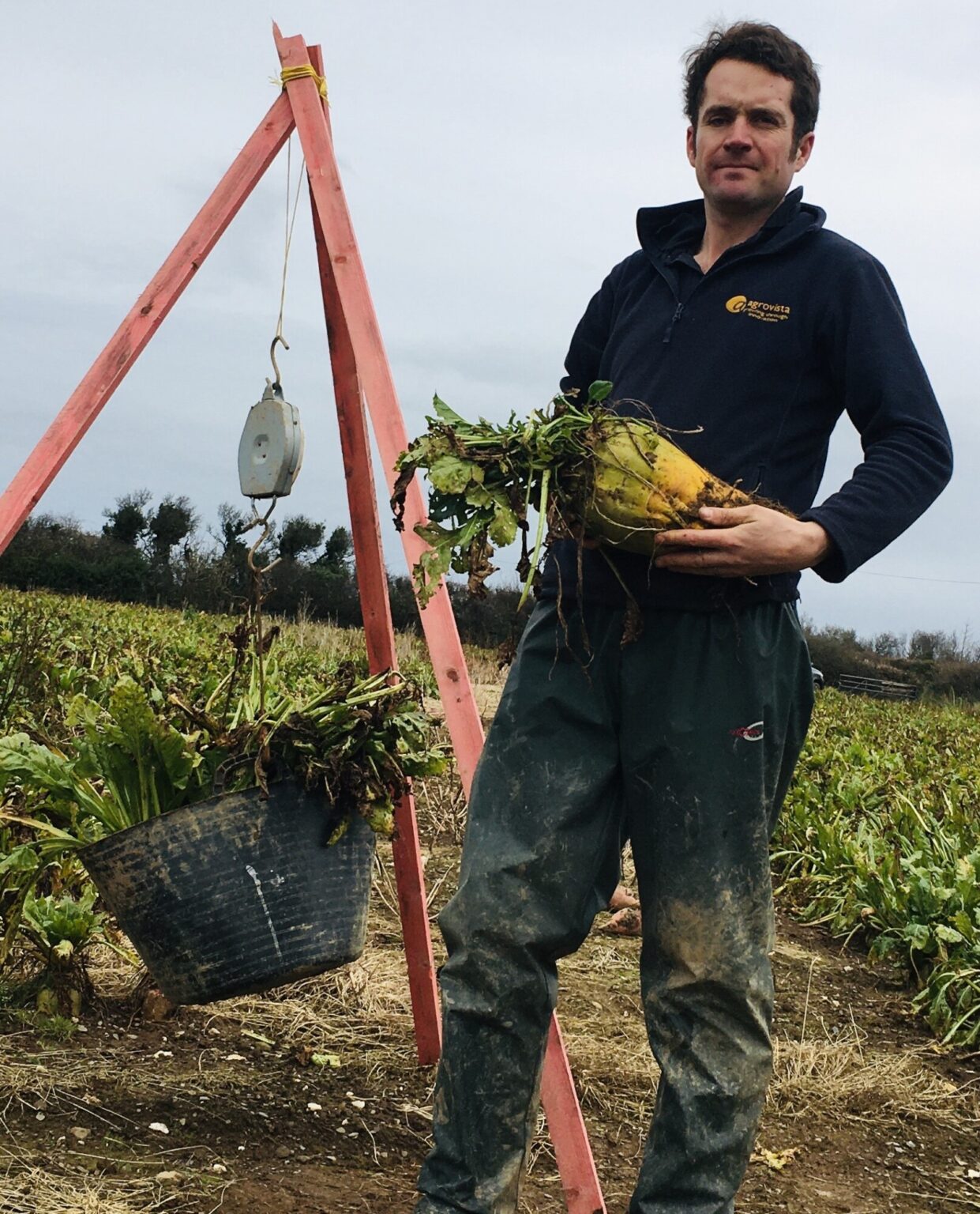 Taking a fresh look at fodder beet for 2024 - Farmers Guide