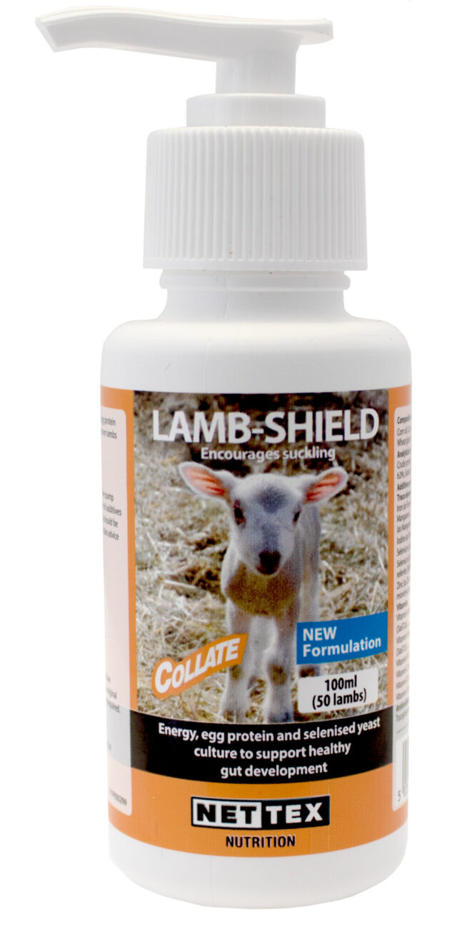 New lamb supplement launched to give newborns strong start - Farmers Guide