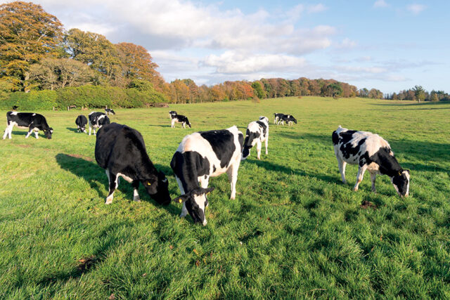 A to-do-list for spring turnout - Farmers Guide